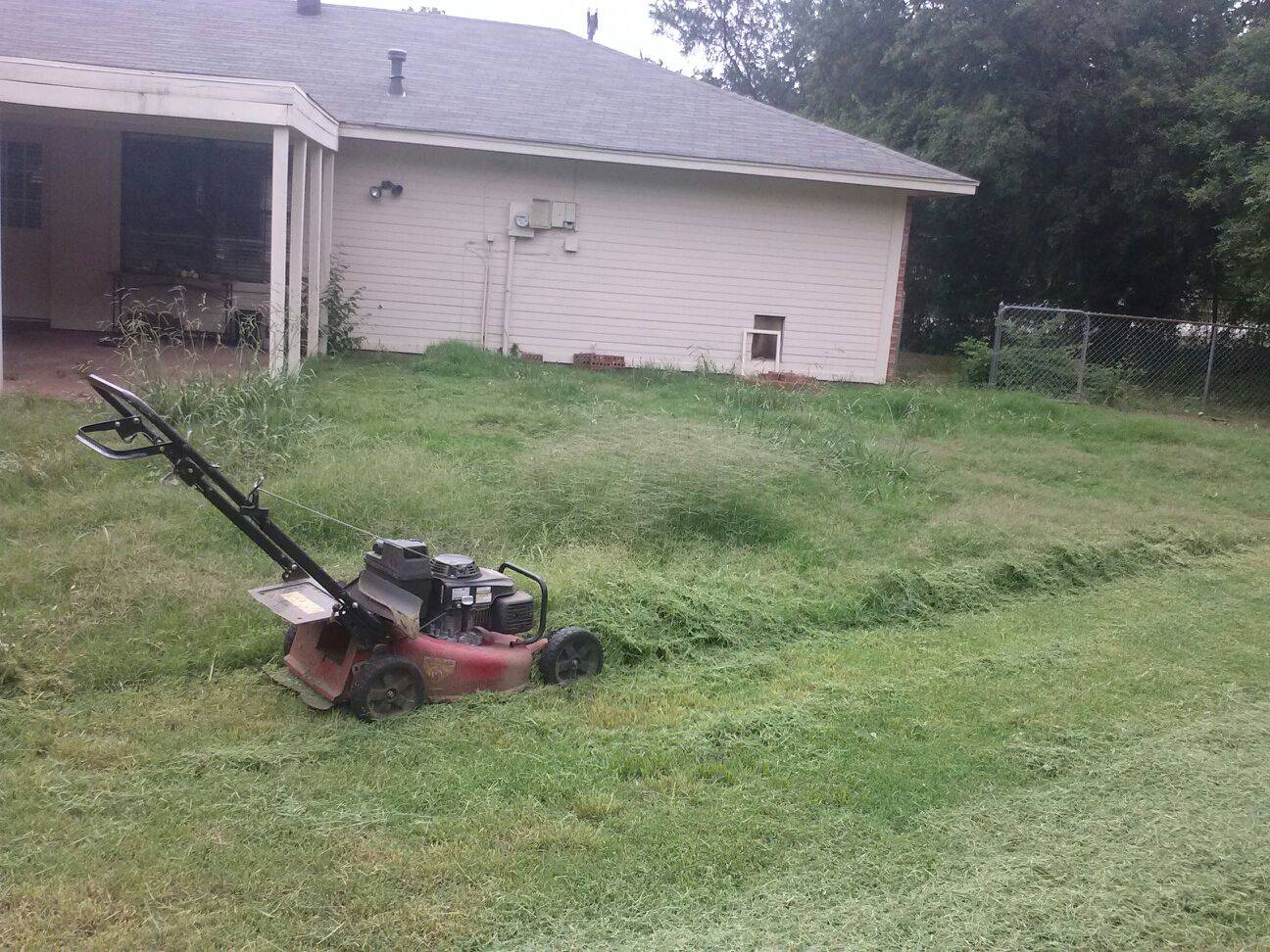 5 Mistakes that will Ruin Your Lawn | Main Street Mowing
