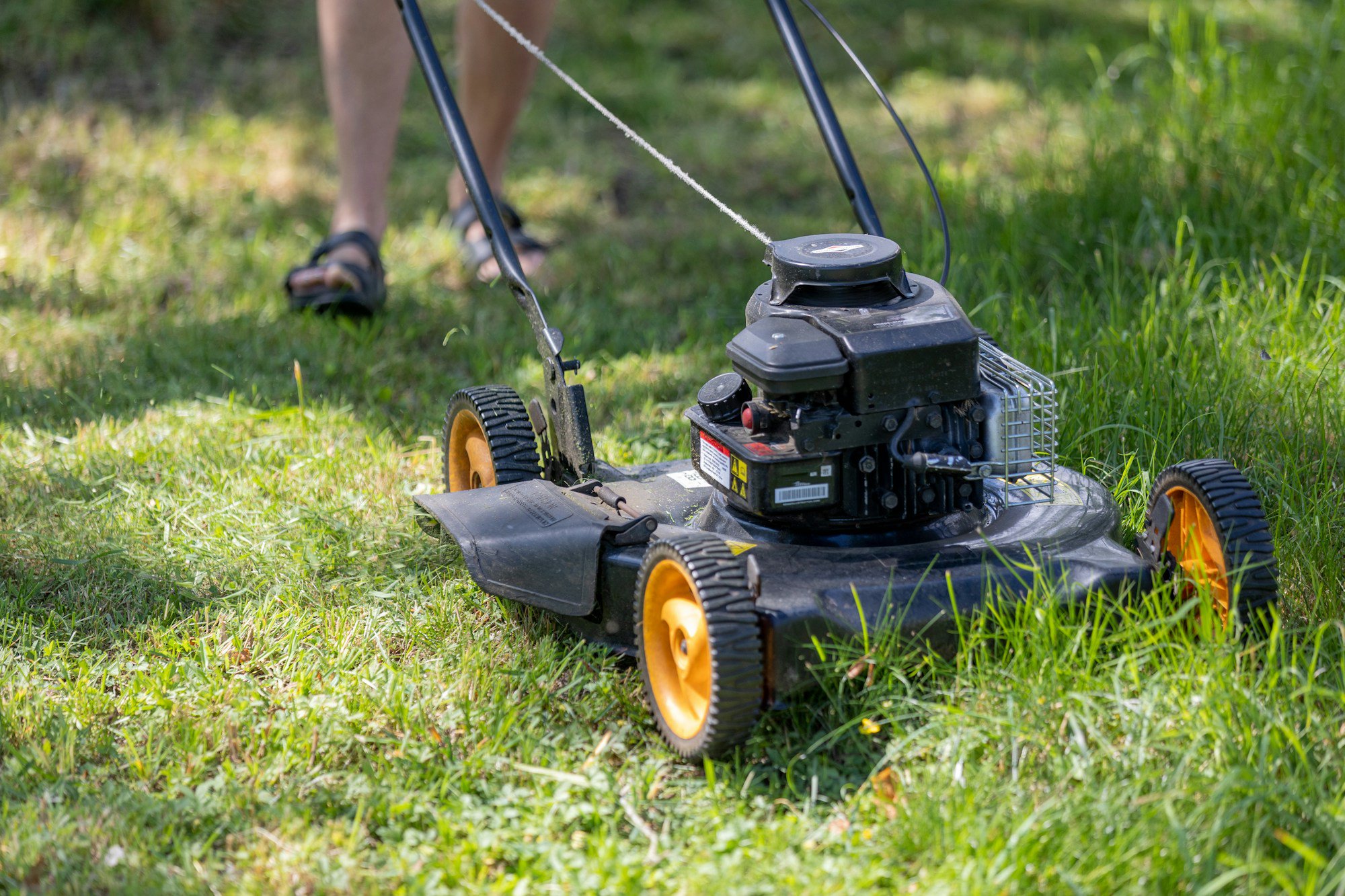 Flower Mound Lawn Mowers: Which Should I Use?